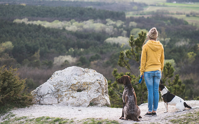 Scheduling Free Time: Unlocking a Fulfilling Life — Open Colleges