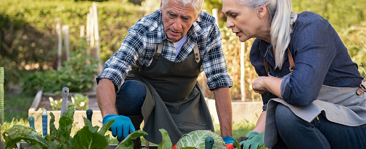 Essential Skills for Success as a Horticulturalist — Open Colleges