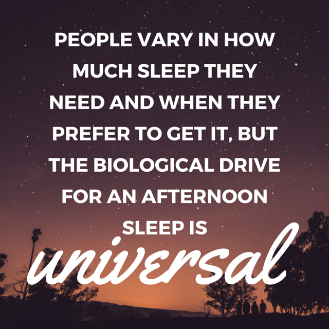 How to Use Daytime Naps to Enhance Learning & Memory — Open Colleges