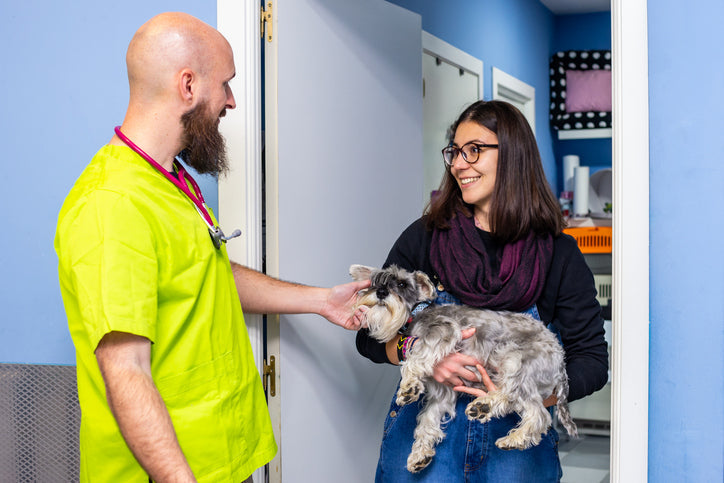 Key Steps to Kickstart Your Animal Industry Career — Open Colleges