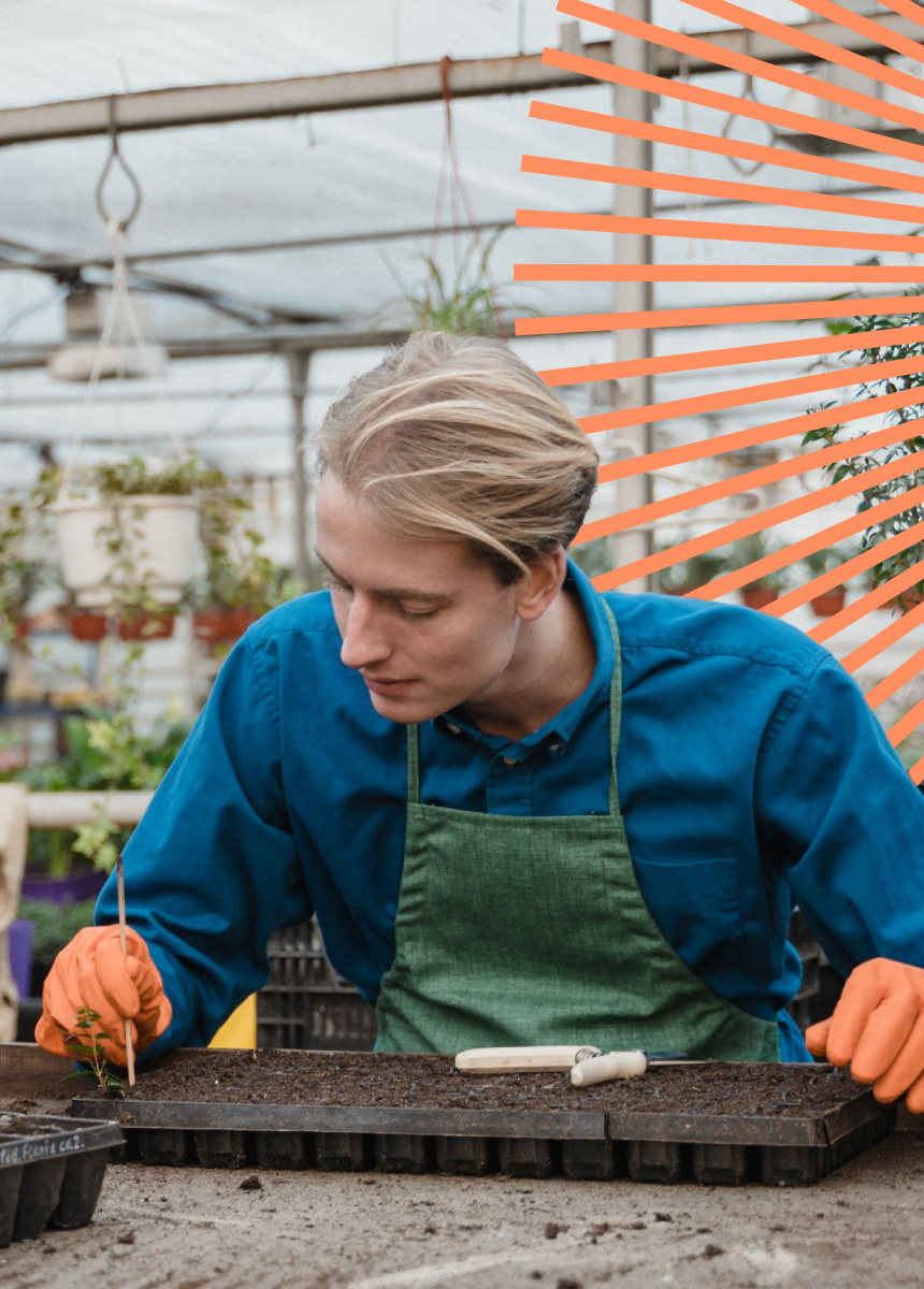 Diplomas & Certificates Online Australia | Open Colleges