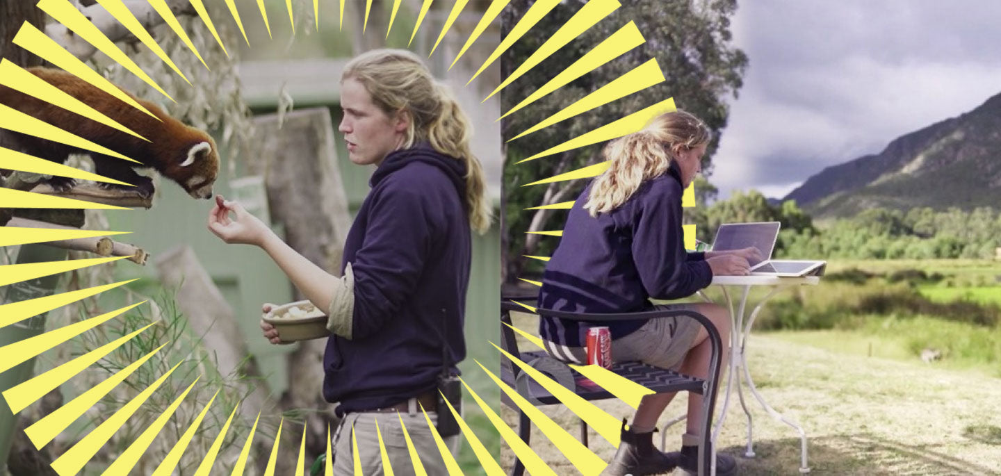 Online Courses Australia - Diplomas & Certificates | Open Colleges